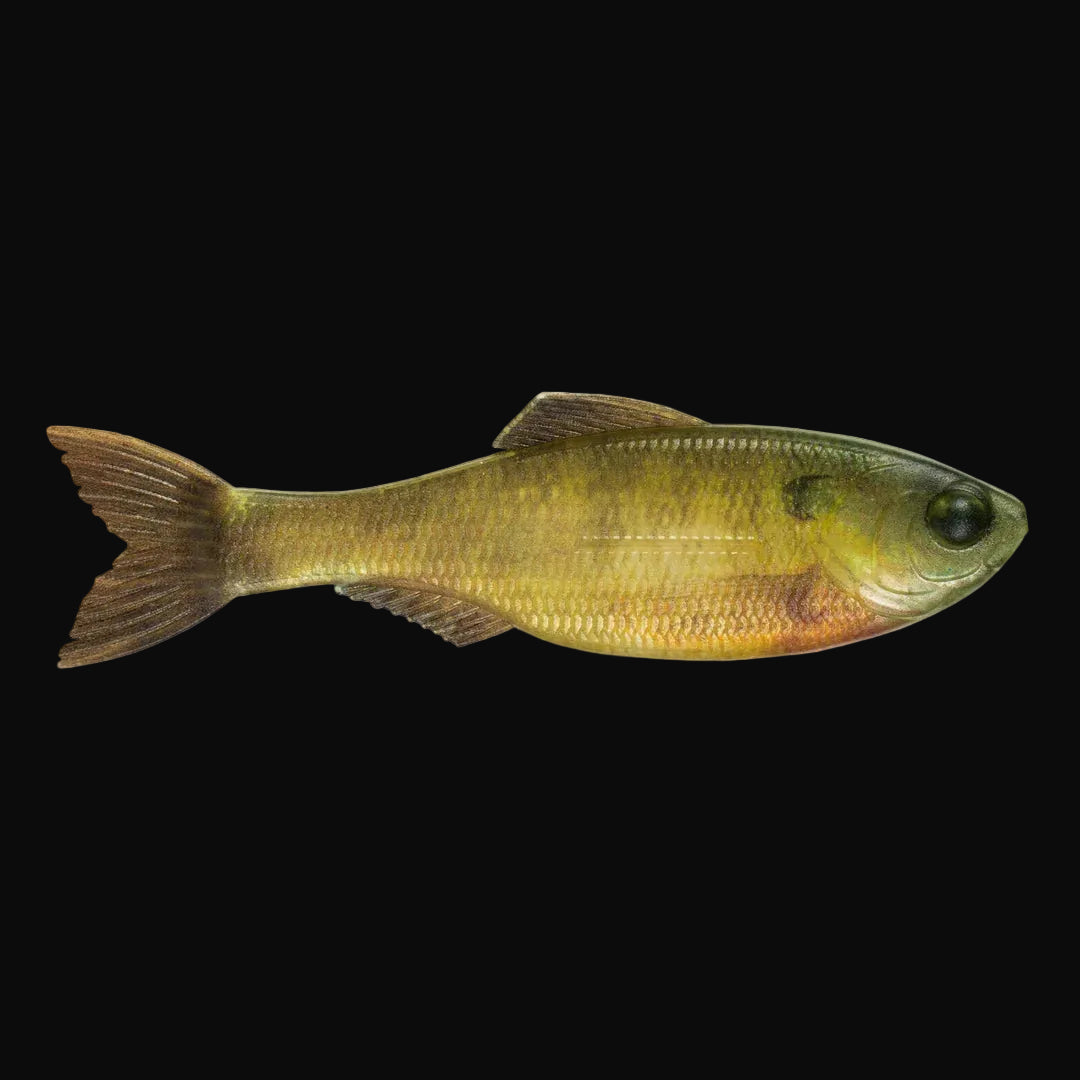 6th Sense Plump Panorama 5.0 – Anglers Choice Marine Tackle Shop